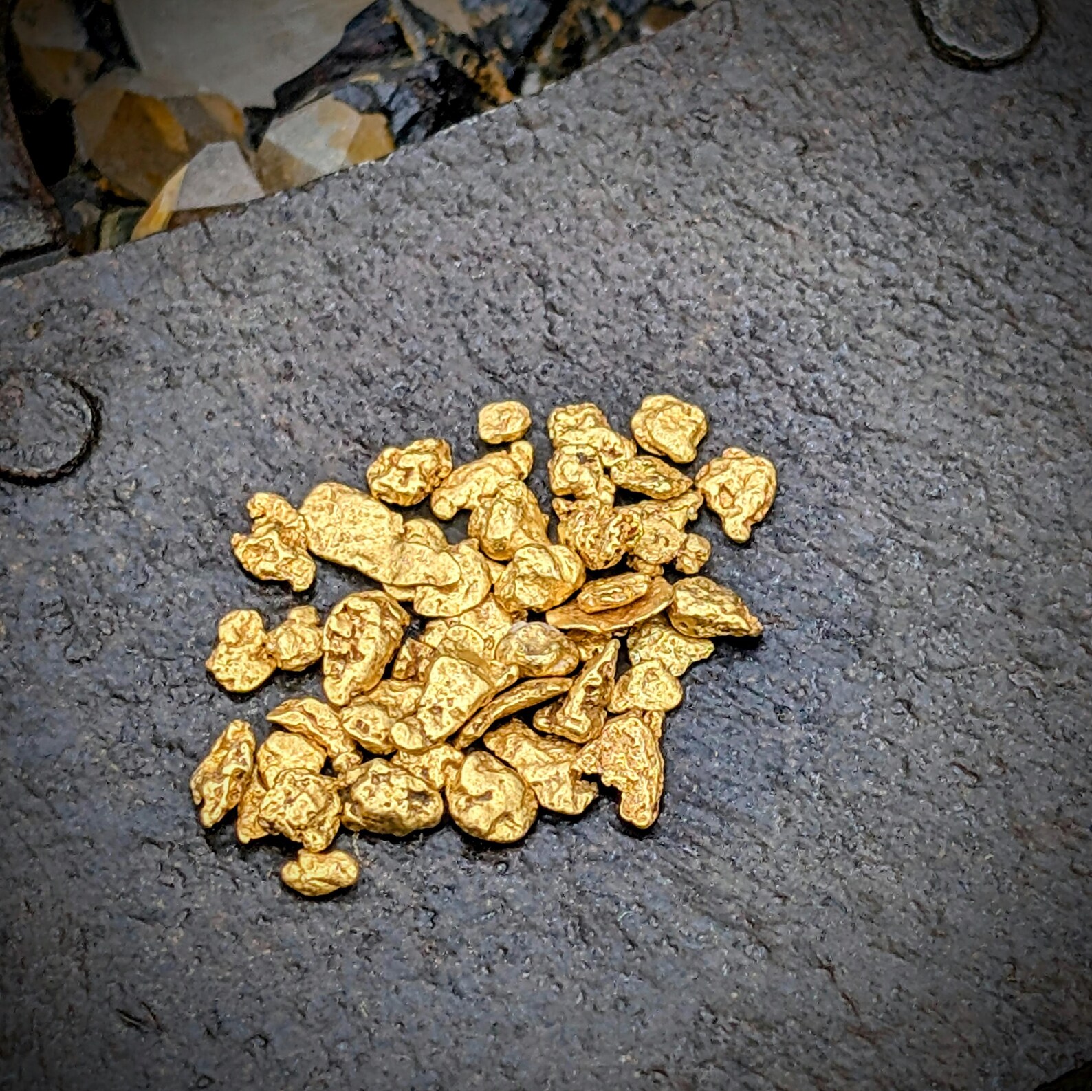 California Gold Nuggets - American Mined Gold - Genuine Gold Specimen ...