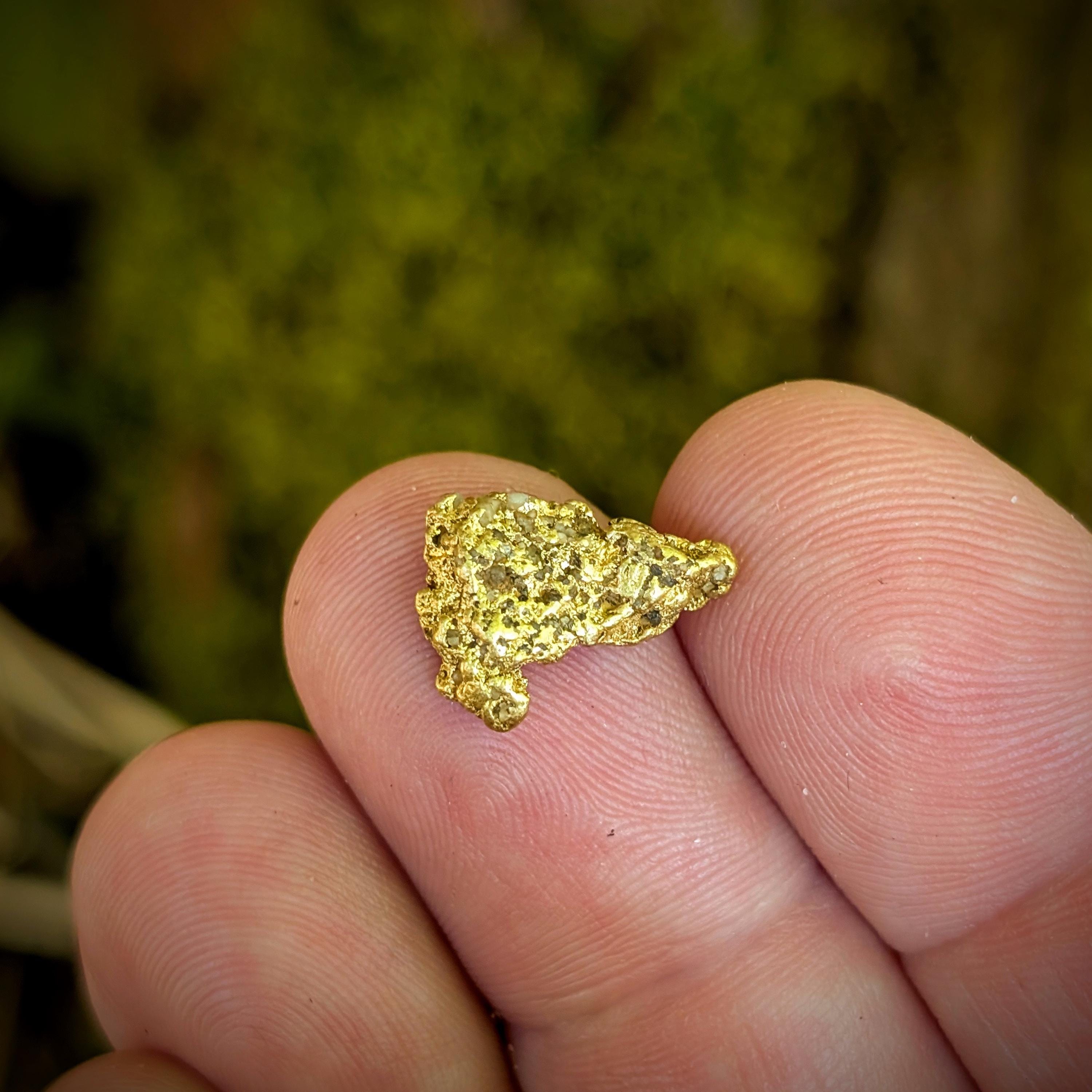 American Mined Gold Nugget - Genuine Gold Specimen - Raw Fairbanks ...