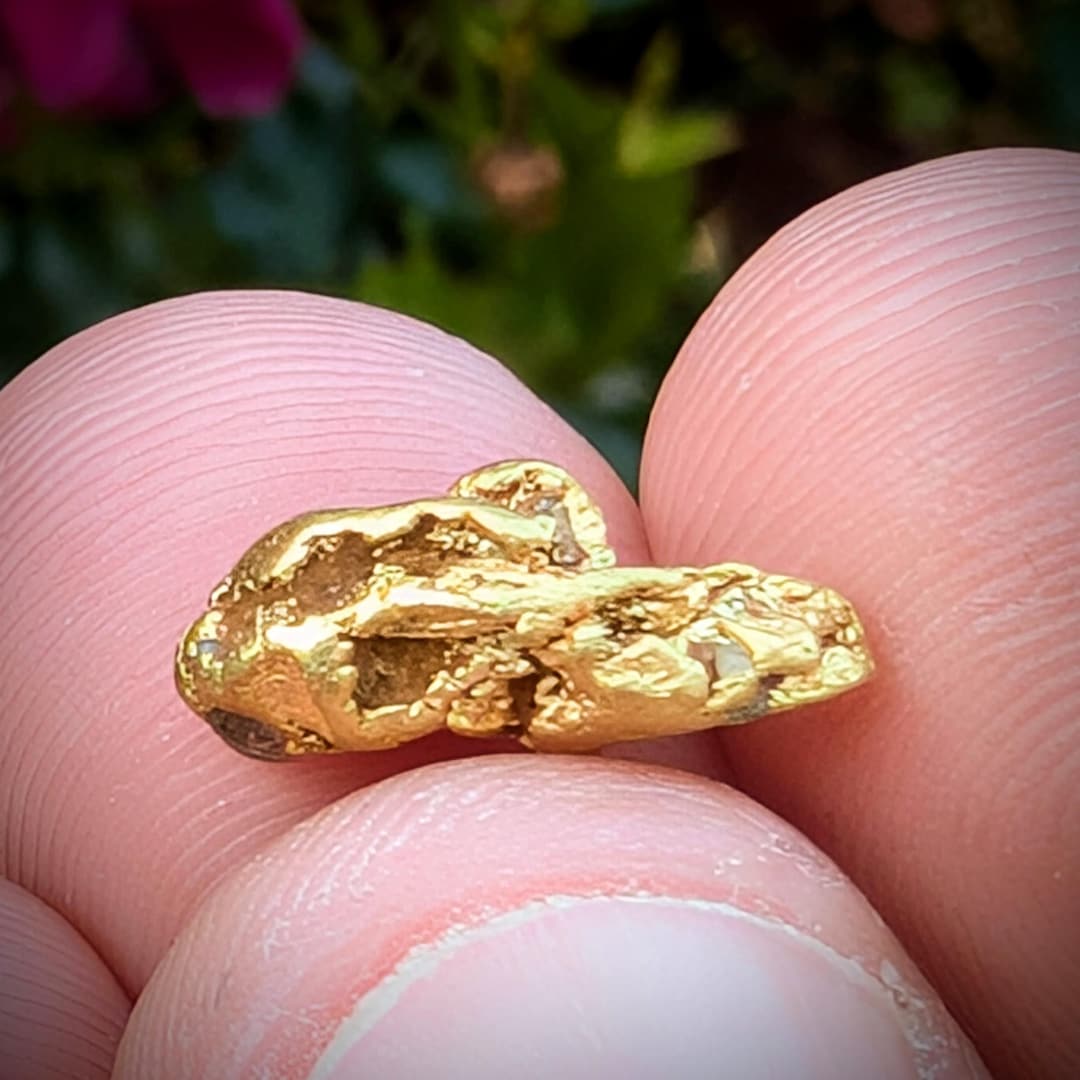 Alaska Gold Nugget - American Mined Gold - Genuine Gold Specimen - Raw ...