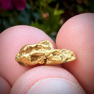 Alaska Gold Nugget - American Mined Gold - Genuine Gold Specimen - Raw ...