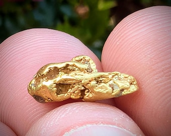 Alaska Gold Nugget - American Mined Gold - Genuine Gold Specimen - Raw ...