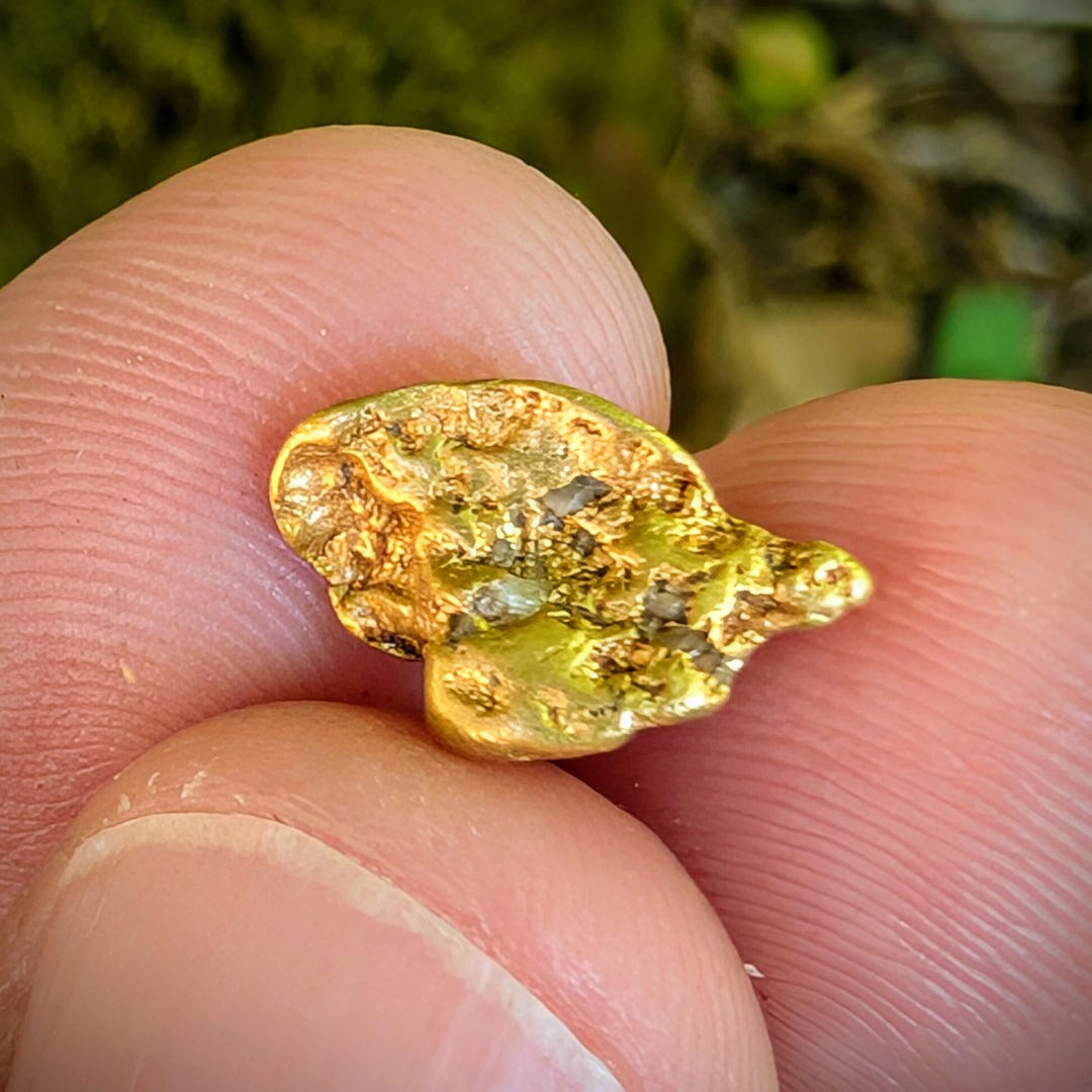 American Mined Gold Nugget - Genuine Gold Specimen - Raw Fairbanks ...