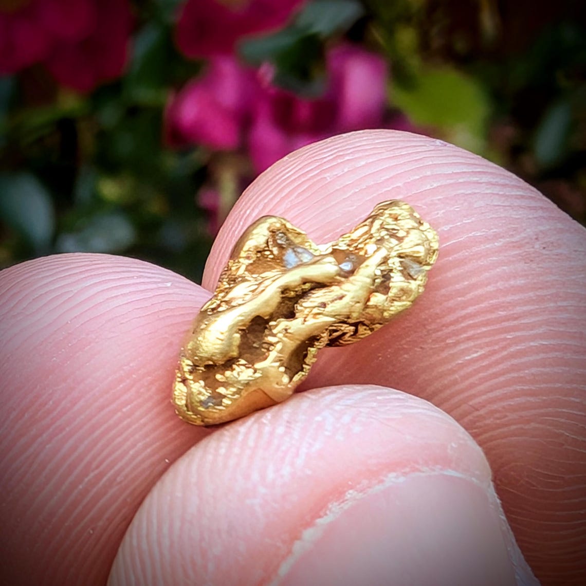 Alaska Gold Nugget - American Mined Gold - Genuine Gold Specimen - Raw ...