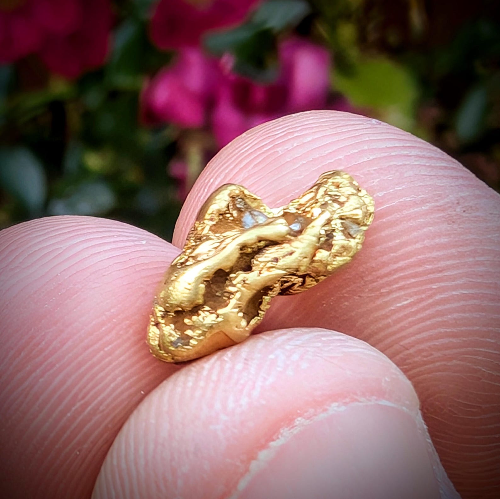 Alaska Gold Nugget - American Mined Gold - Genuine Gold Specimen - Raw ...