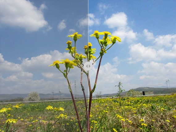 Before/after Previews PSD Templates - Etsy