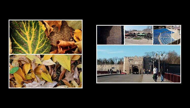 Page Layouts Photoshop Actions Bundle - Etsy