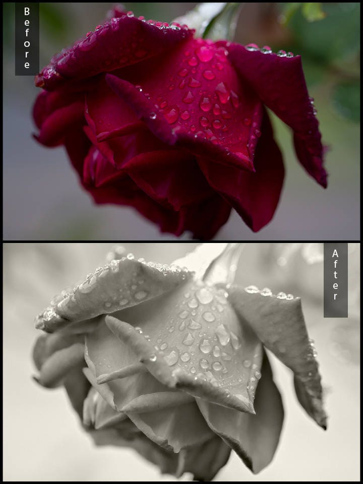 Before/after Previews PSD Templates - Etsy