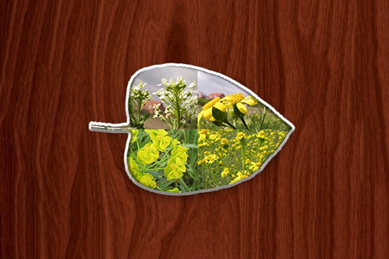 Custom Collages Photoshop Actions - Etsy