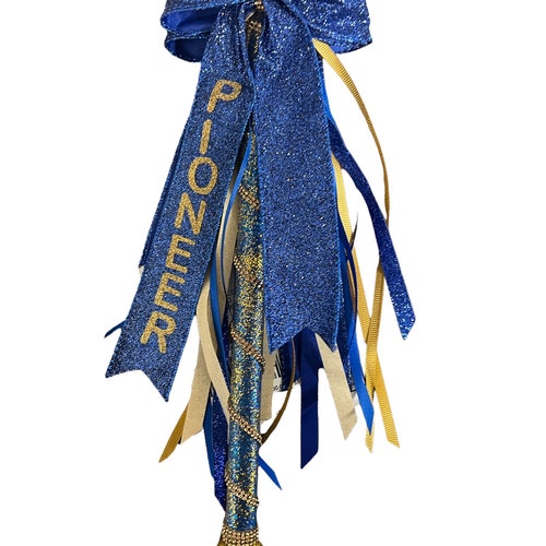 Cheer/team/sports/graduation/spirit Noise Maker Shaker - Etsy