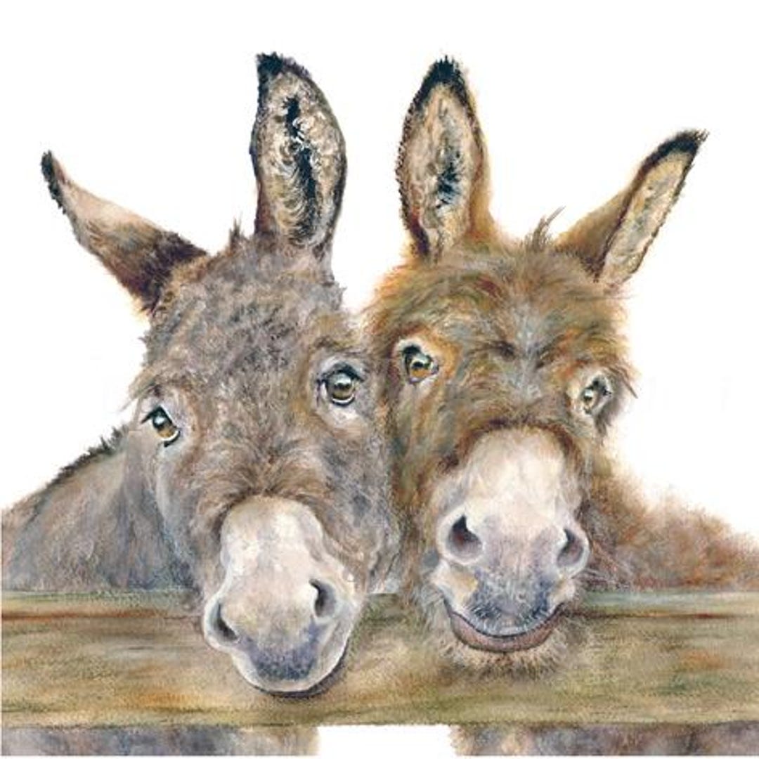 Donkey, Greetings Card, Recycled Card and Envelope - Etsy