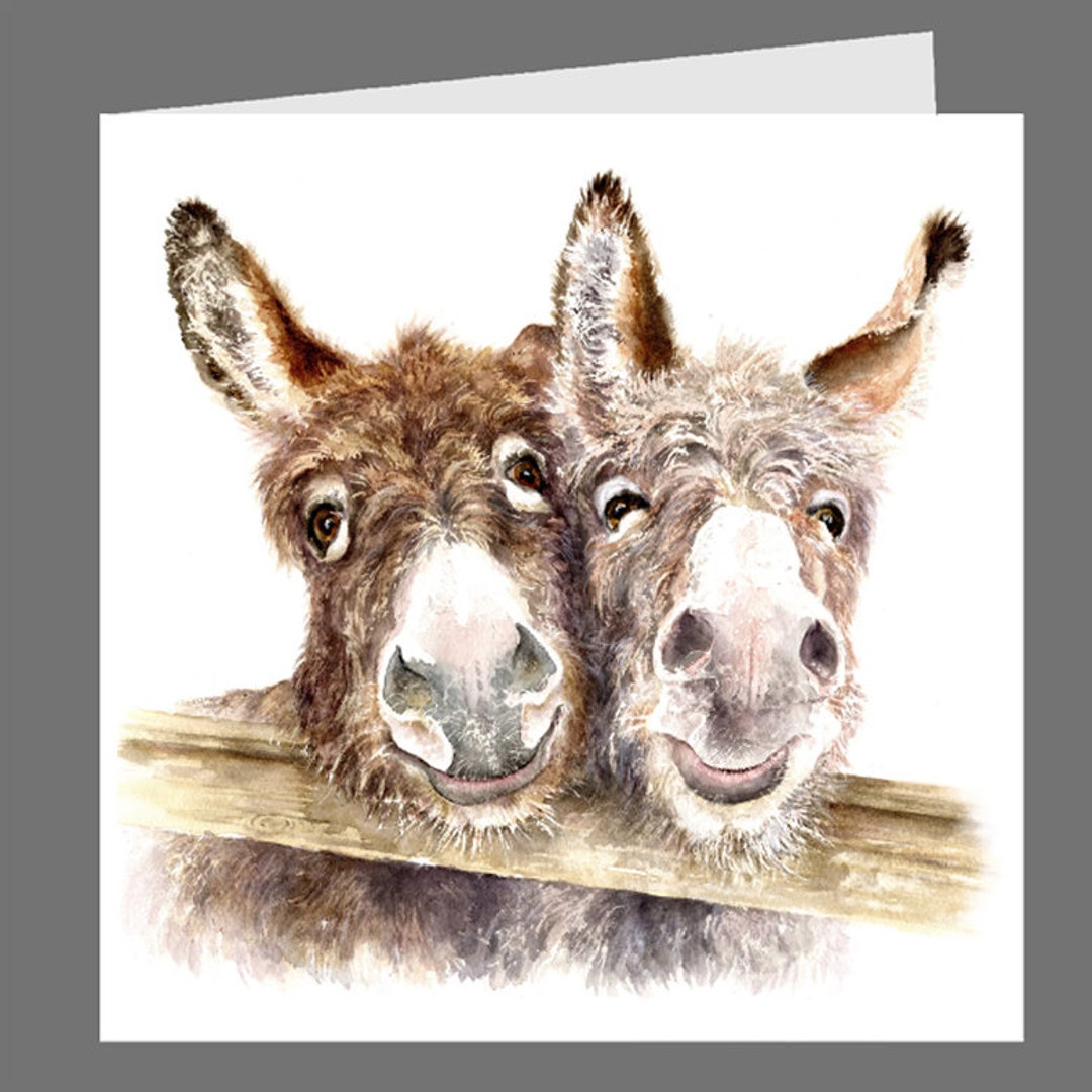 Donkey, Greetings Card, Recycled Card and Envelope - Etsy