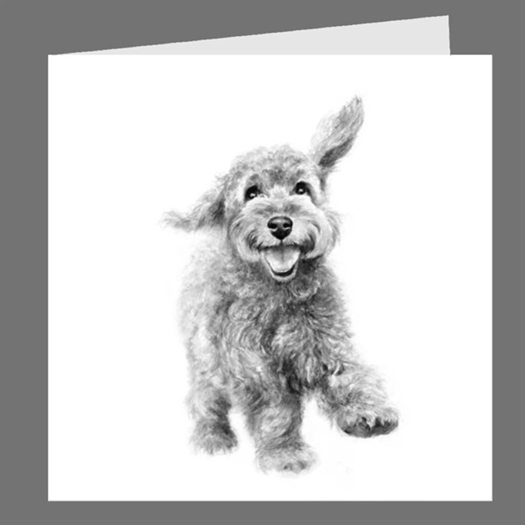 Cockerpoo Cavapoo or a Doodle Greetings Card Recycled Card - Etsy