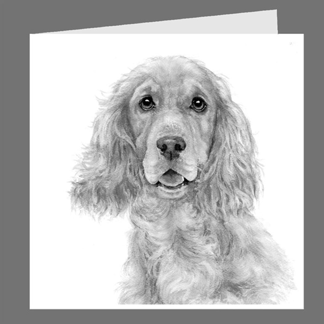 Cocker Spaniel Greetings Card Recycled Card and Envelope - Etsy UK