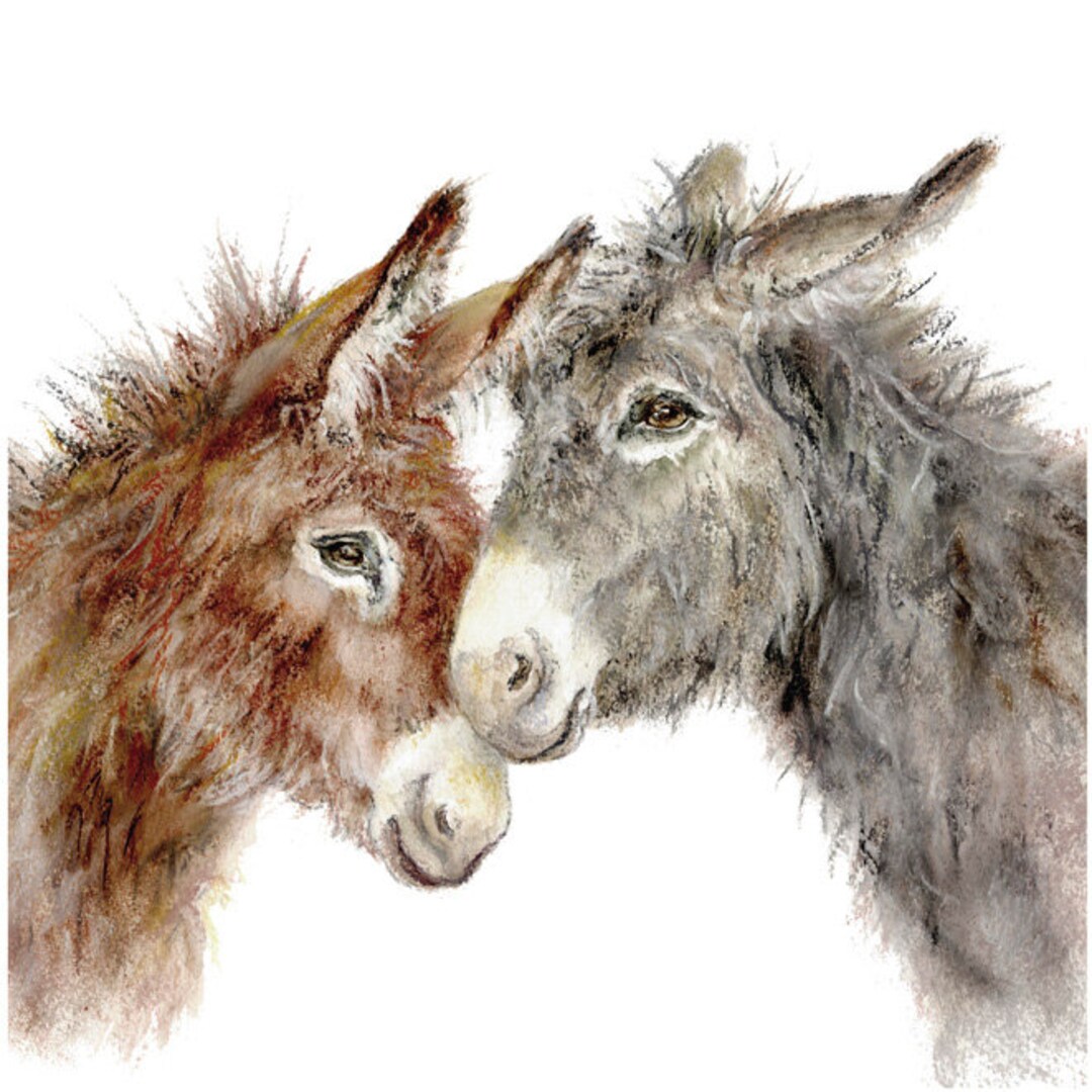 Donkey, Greetings Card, Recycled Card and Envelope - Etsy