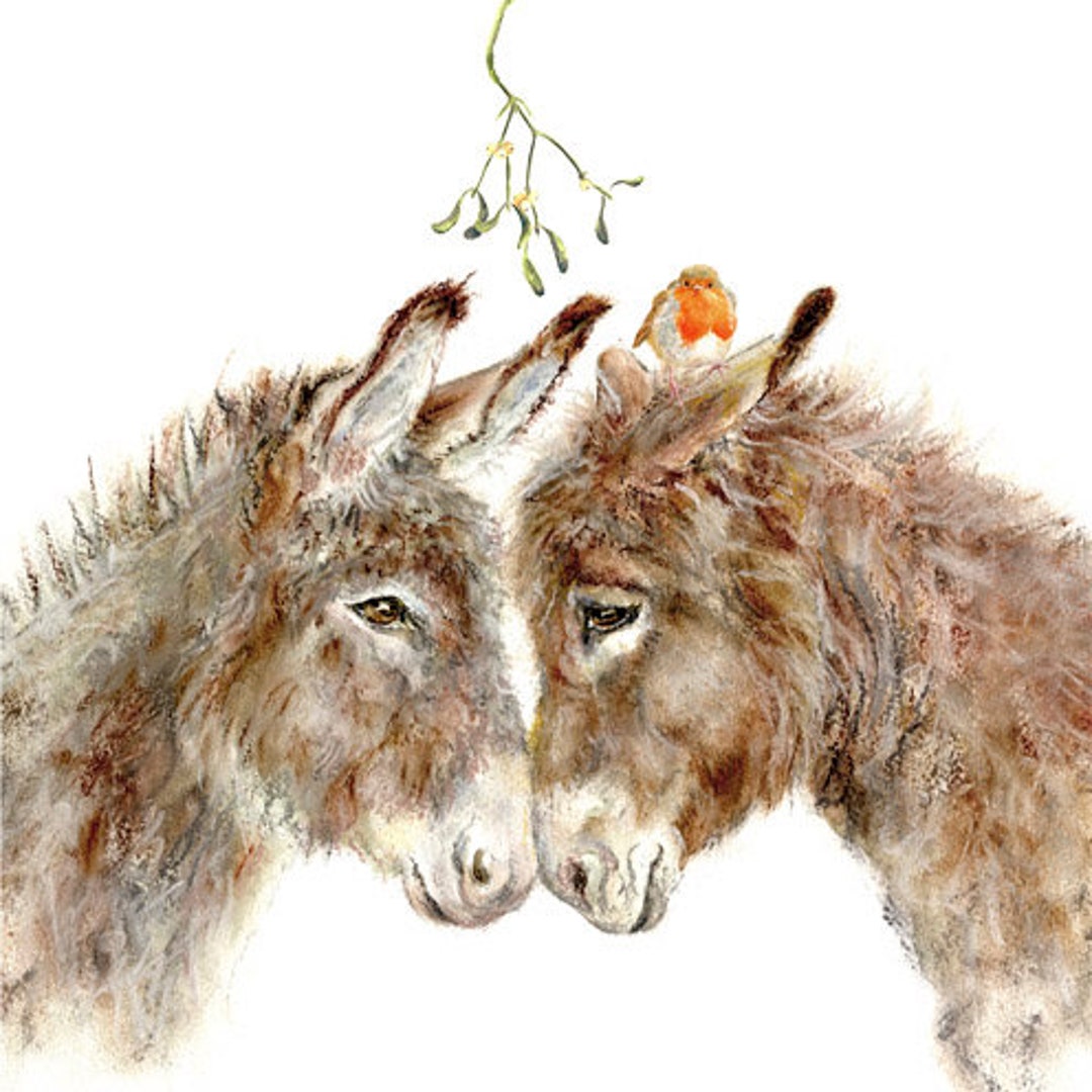 Donkey, Christmas Greetings Cards, Pack of 6 . Recycled Card and ...