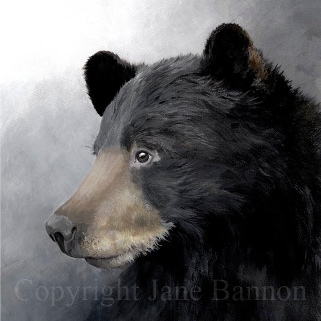 Brown Bear, Greetings Card, Recycled Card and Envelope - Etsy