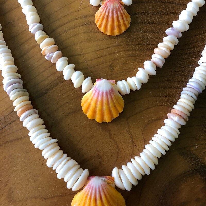 Sunrise Shell - Etsy