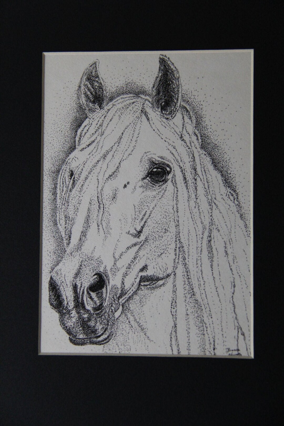 Horse Pen & Ink Art Print - Etsy