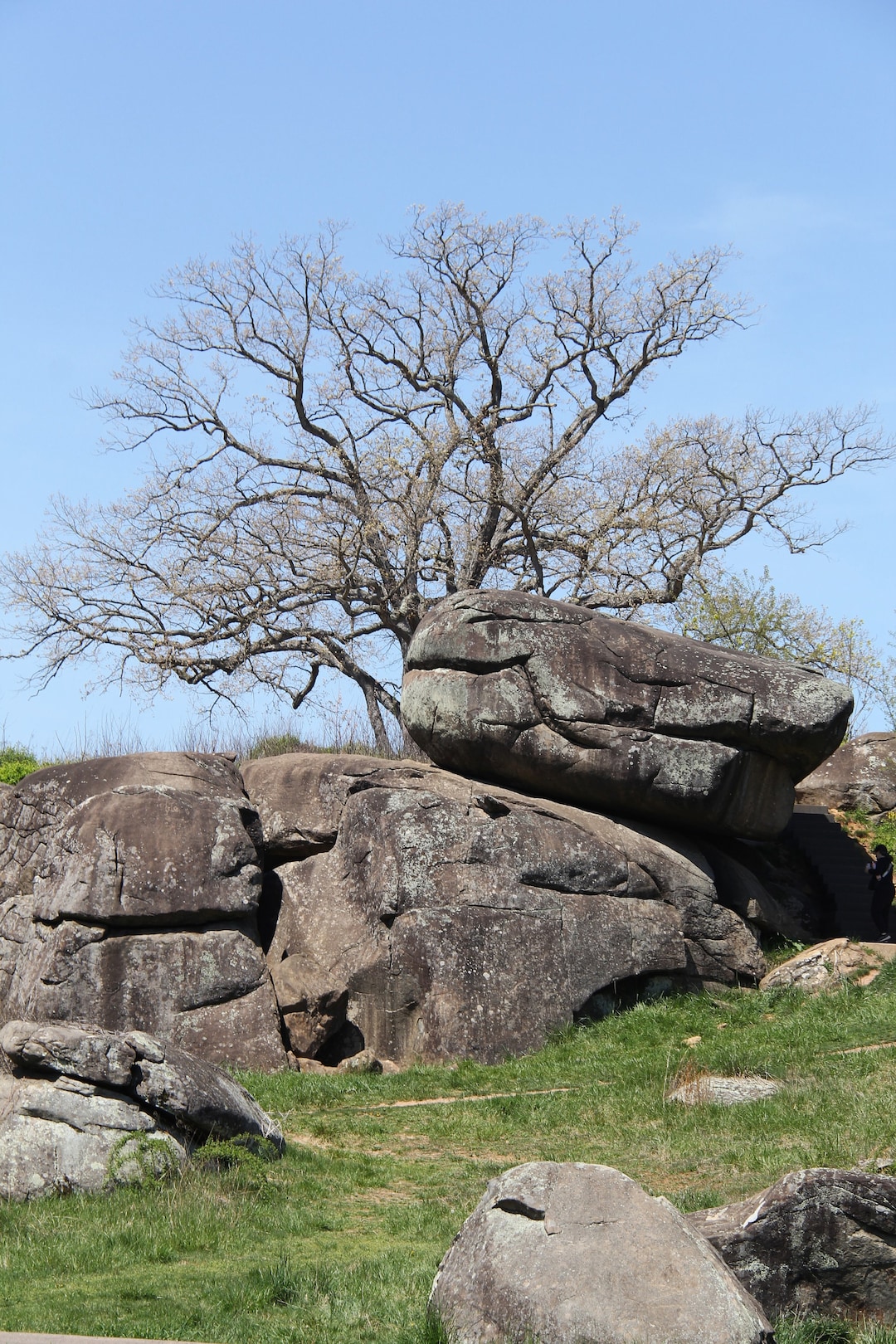 Devil's Den Rocks With Witness Tree / Gettysburg - Photograph - Etsy