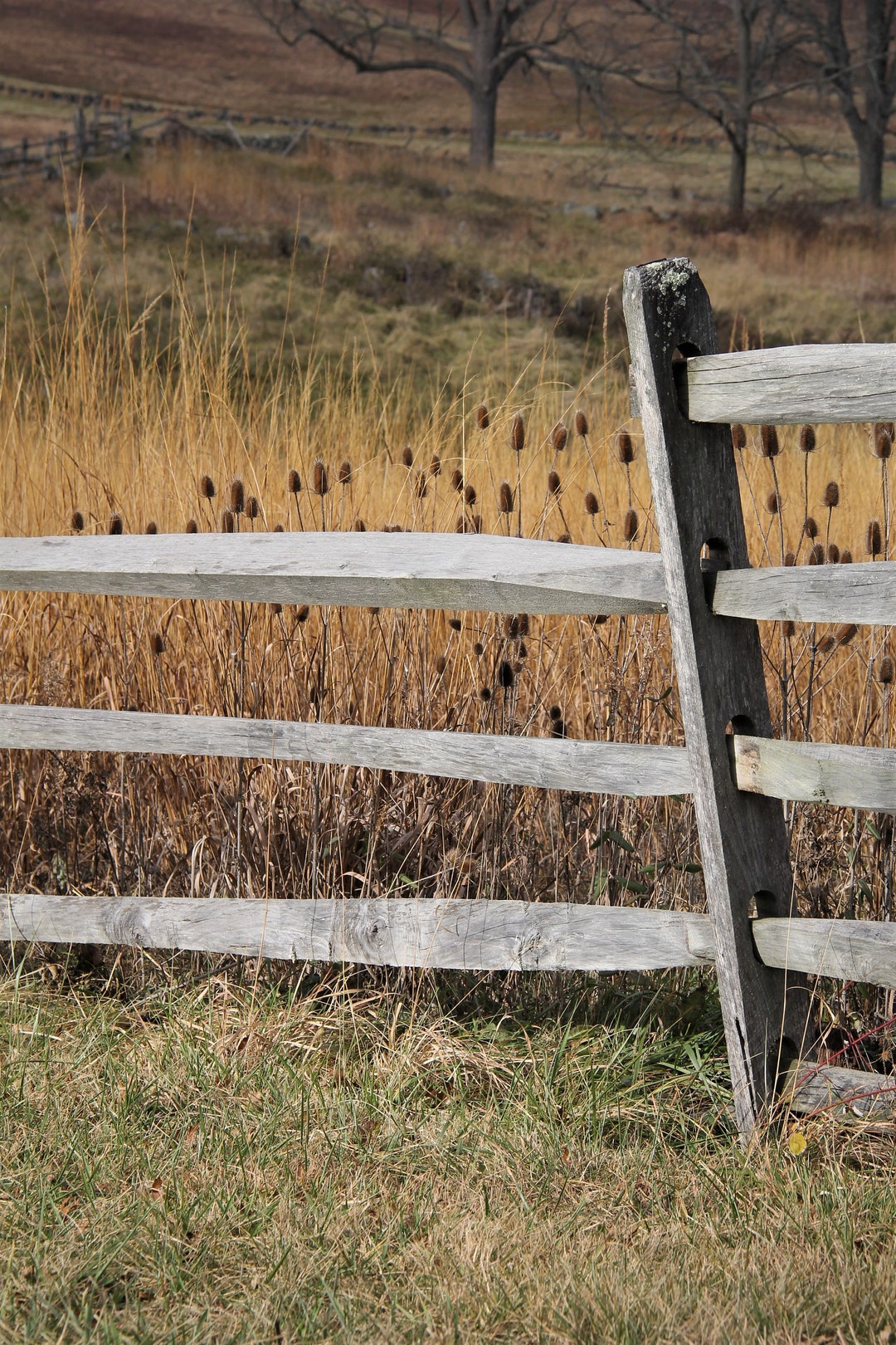 Old Wooden Fence Post - Photograph - Etsy
