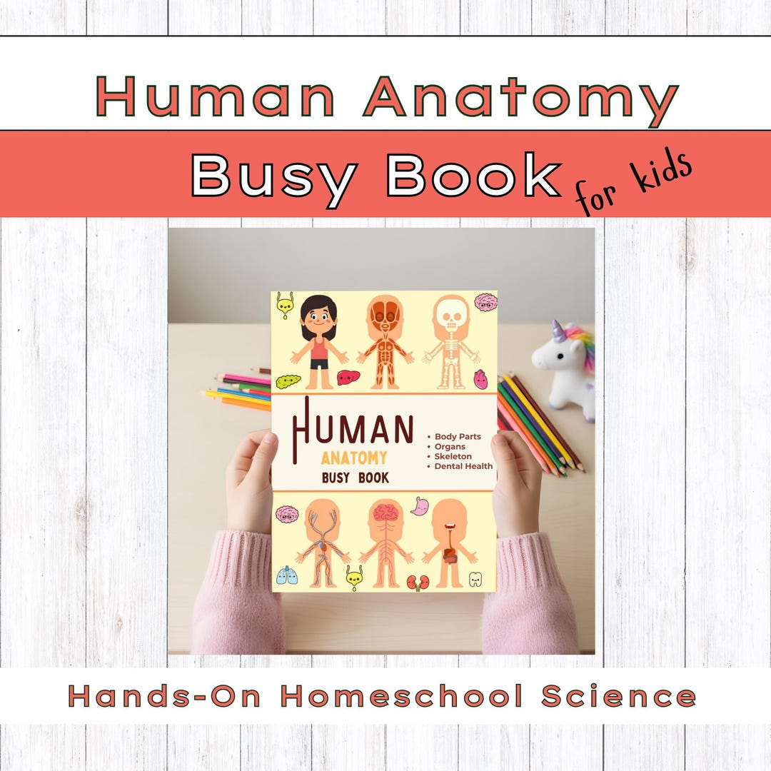 Human Anatomy Busy Book for Kids | Preschool Kindergarten Homeschool ...