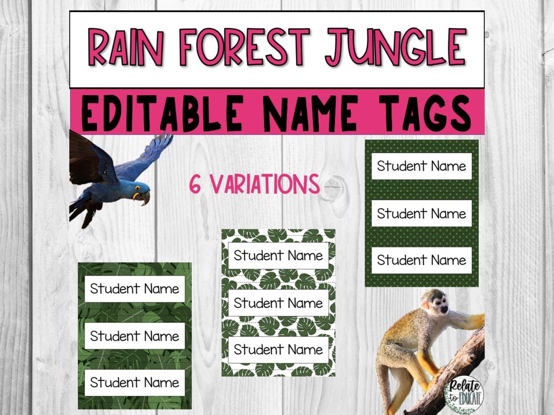 Rainforest Name Tags | Editable Classroom Decor (PDF + PPT) - Etsy