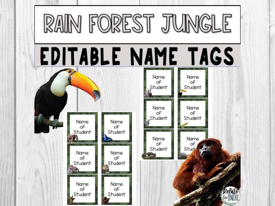 Rain Forest Classroom Name Tags | Jungle Theme, Editable (PDF) - Etsy
