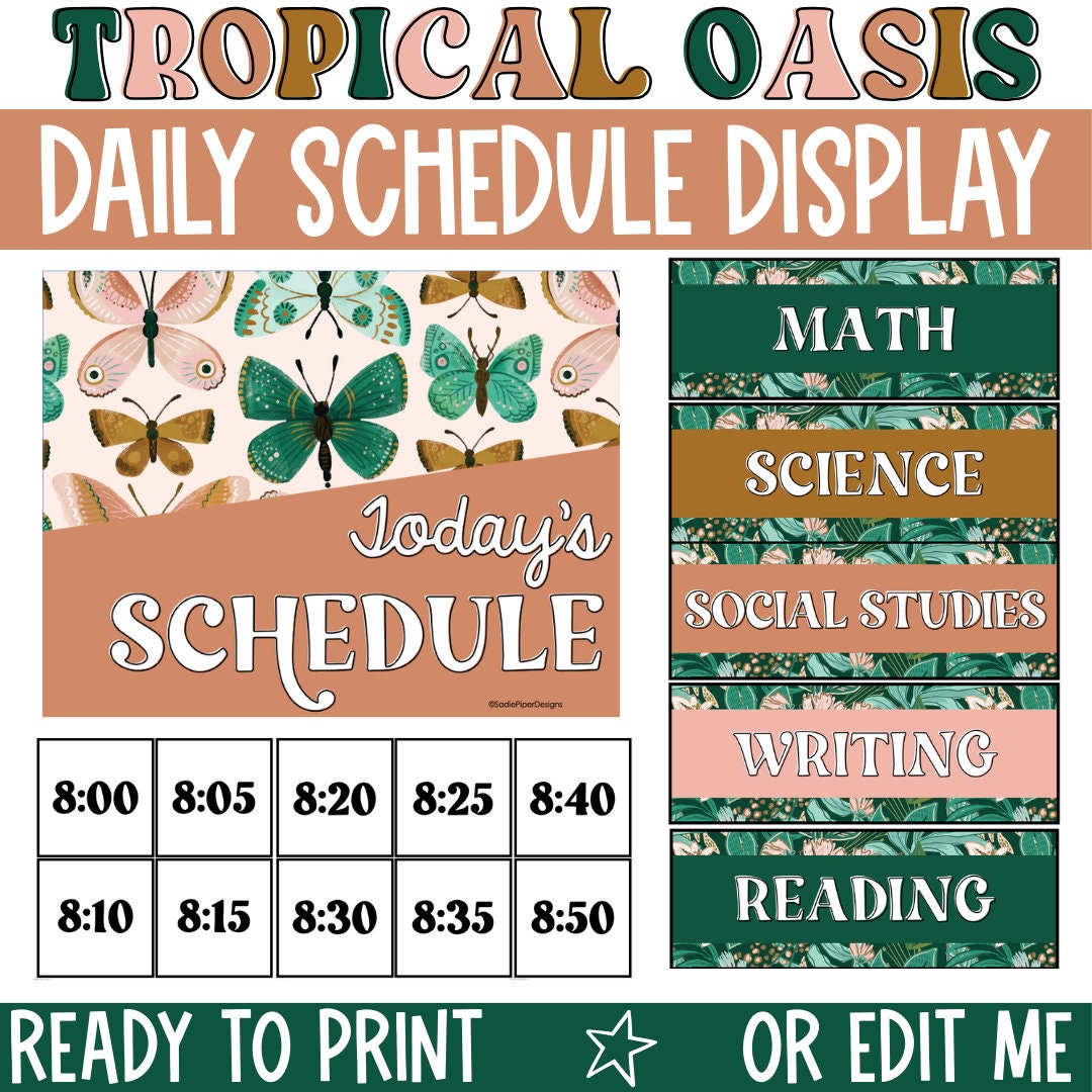 Editable Daily Schedule Display for Classroom, Daily Schedule Cards ...