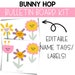 BUNNY HOP Easter Bulletin Board Kit, Spring Bulletin Board Kit ...