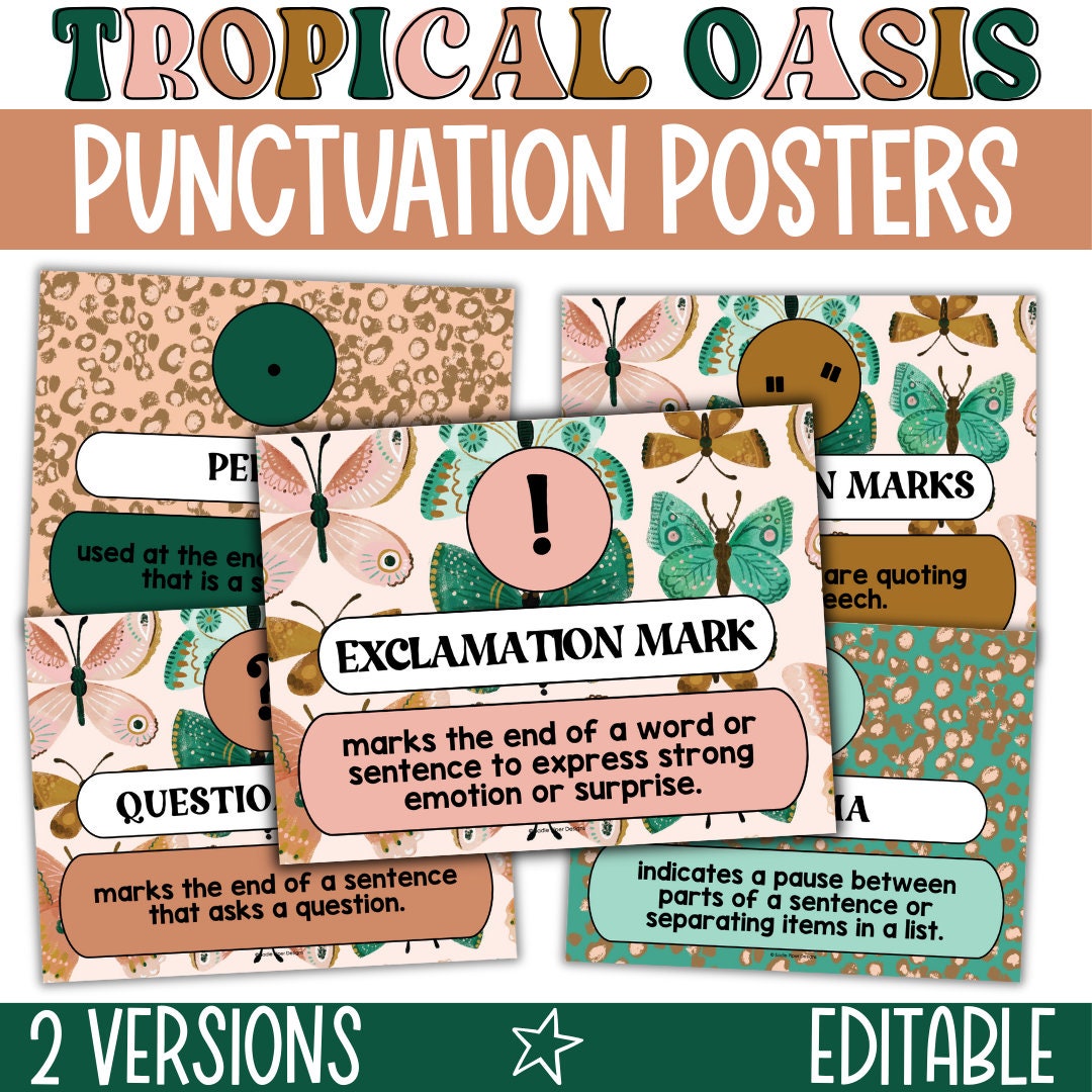 Punctuation Posters, English Posters, ELA Educational Posters, Language ...