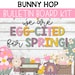 Groovy RETRO BUNNY Bulletin Board Kit, Spring Bulletin Board Kit ...