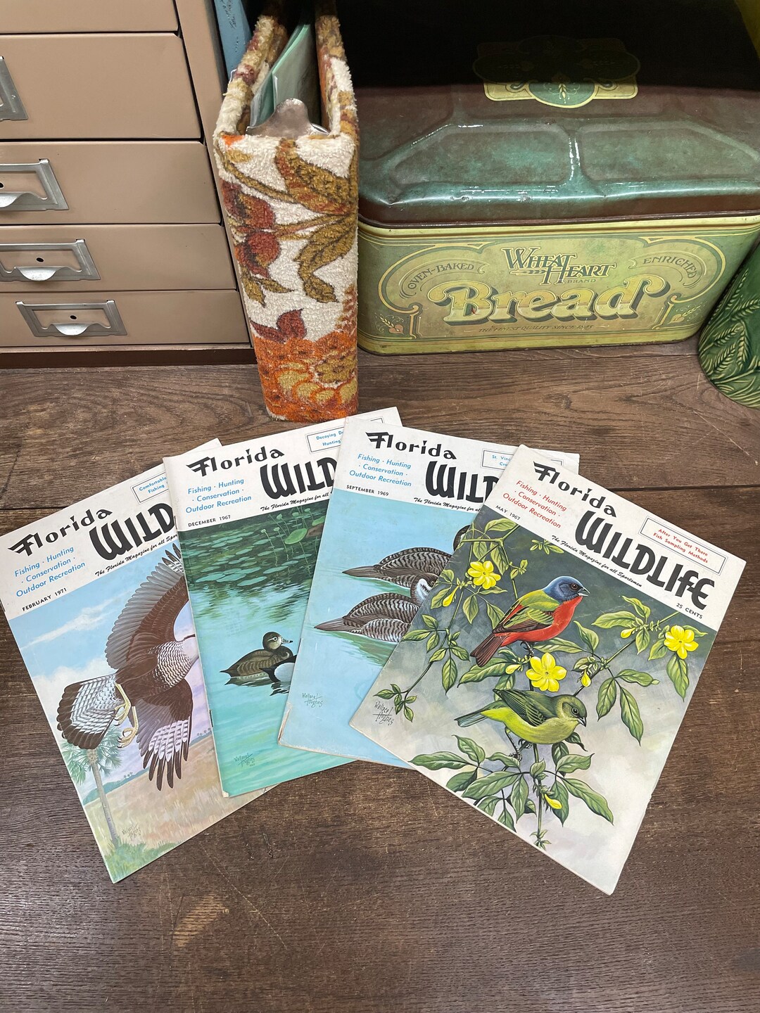 Vintage Florida Wildlife Magazines 1967 1969 1971 Set of 4 - Etsy