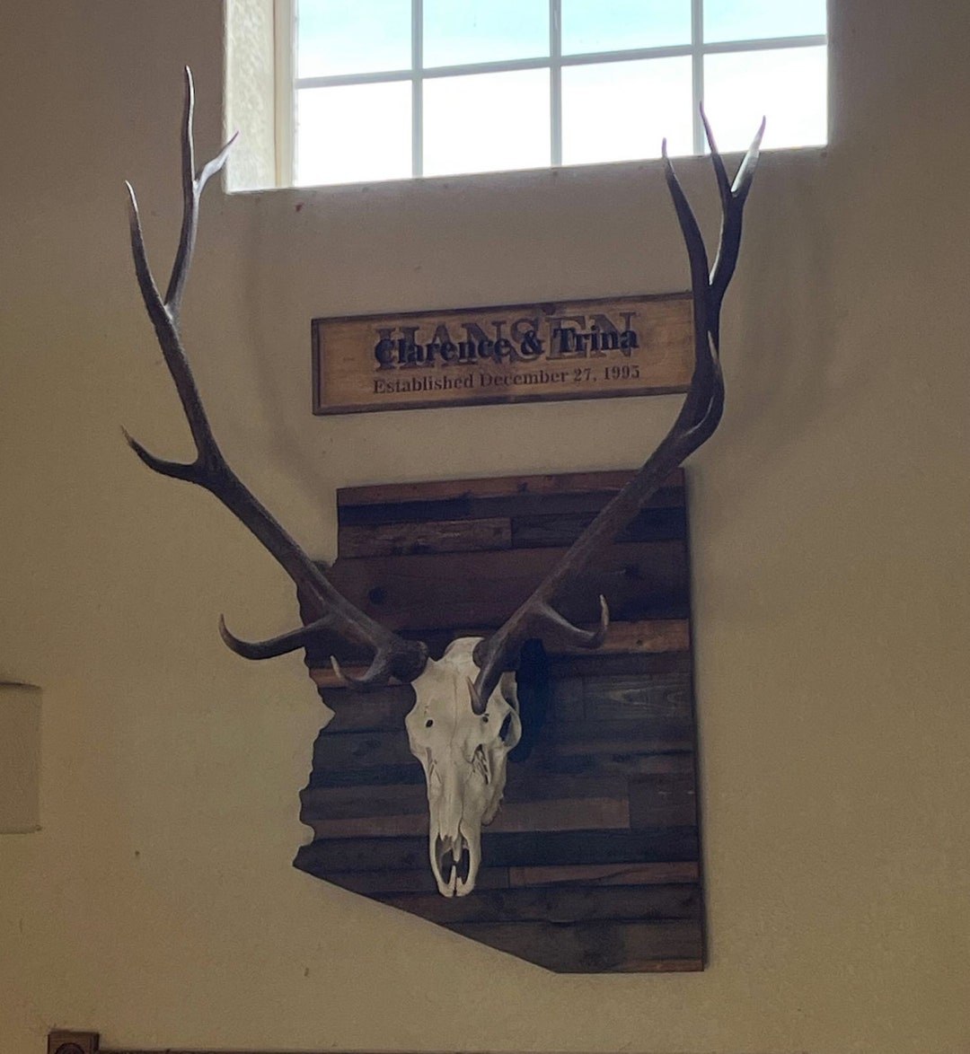 European Mount Plaque, Euro Mount, Antlers, Wall Art Decor, Skull Mount ...