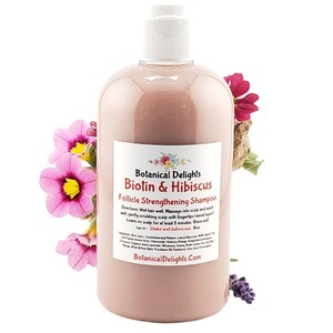 Biotin & Hibiscus Follicle Strengthening Shampoo and Conditioner, Scalp ...