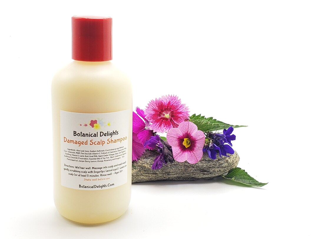 Damaged Scalp Essential Oil Shampoo Scalp Detox for Fungus - Etsy