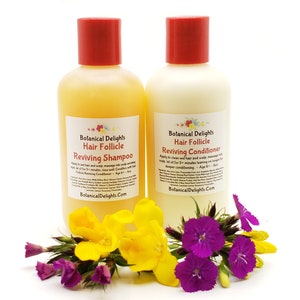 Hair Follicle Stimulating Shampoo & Conditioner DHT Blockers, Essential ...