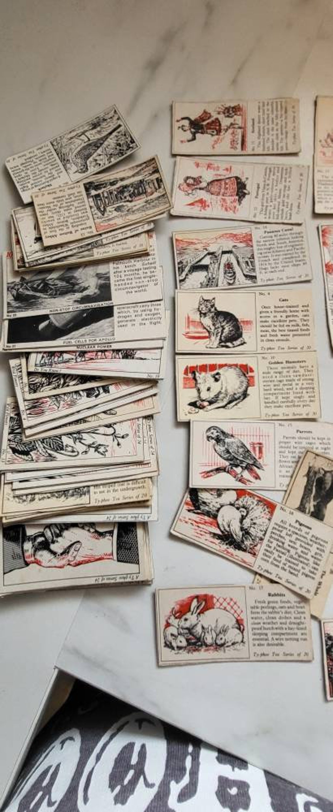 Typhoo Tea Cards Vintage - Etsy