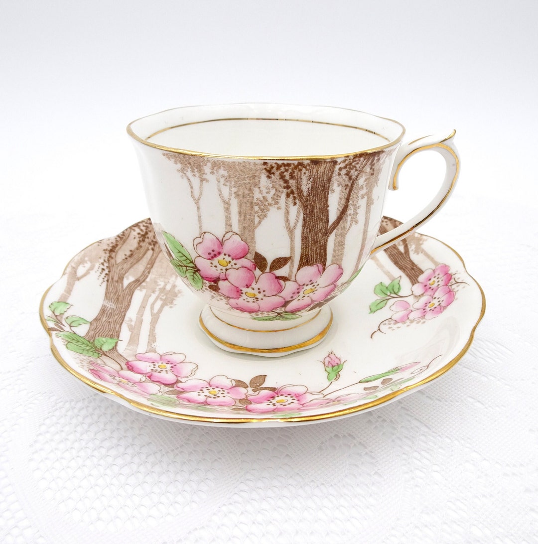 1930s Royal Albert Woodland Tea Cup and Saucer Wild Pink Roses With ...