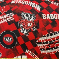 Wisconsin Badger - Etsy