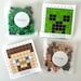 Minecraft DIY Perler Bead Kits | Gift | Party | Activity - Etsy