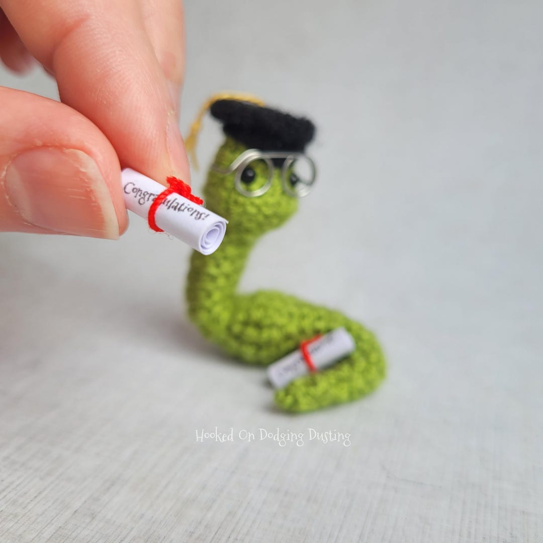 Book Worm, Graduation Gift, Diploma, School Gift, Book Lover Gift ...