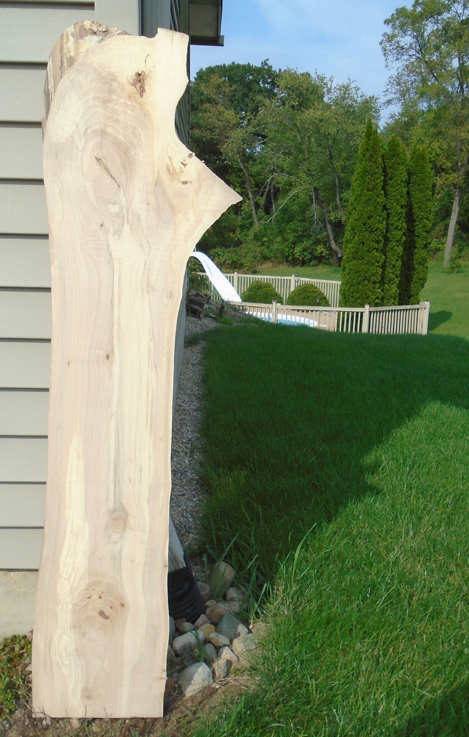 Spalted Maple Live Edge Lumber Slab Bar Shelf Decor Art Project 50 1/2 ...