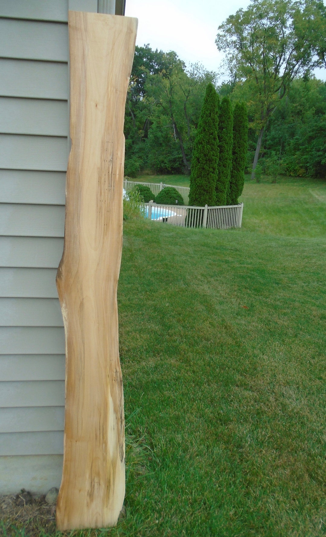 Spalted Maple Live Edge Lumber Slab Figured Shelf Decor Art 64 3/4 ...