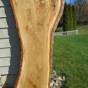 White Oak Live Edge Slab Spalted Tiger Grain Table Decor Art Project 41 ...