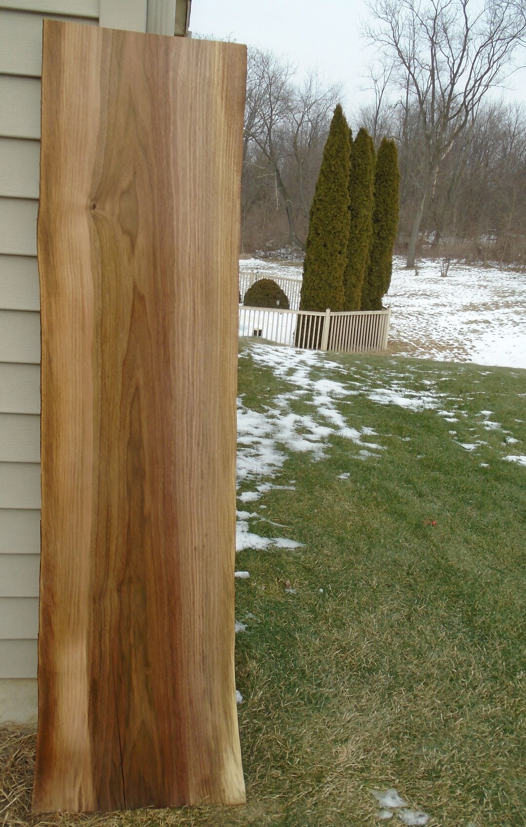 Black Walnut Live Edge Slab Kiln Dried Torch Flame Grain Bar Decor Art ...