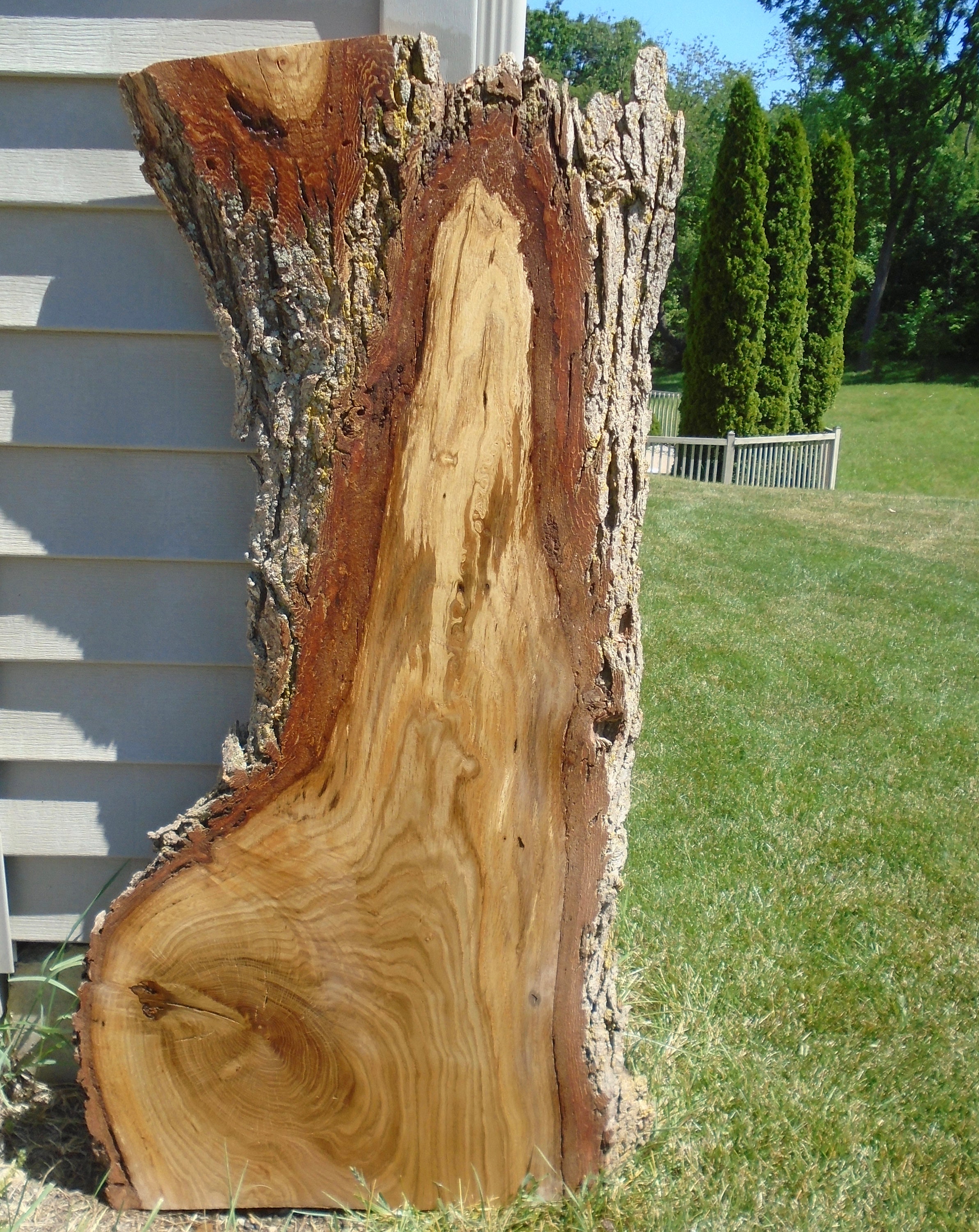 White Oak Live Edge Slab Spalted Fancy Grain Rustic Table Art Decor 41 ...