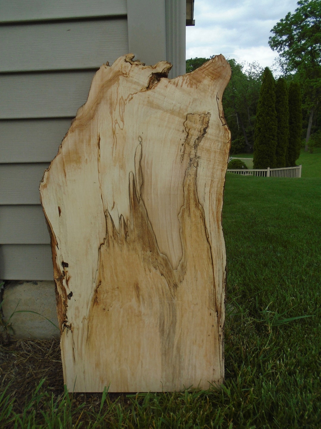 Spalted Maple Live Edge Lumber Slab Flame Pattern Table Decor Art ...