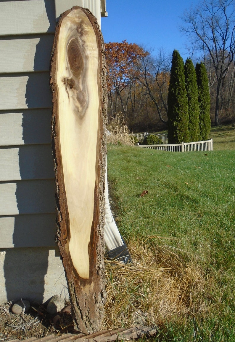 Black Walnut Live Edge Lumber Slab Fancy Grain Fish Mount Plaque Decor ...