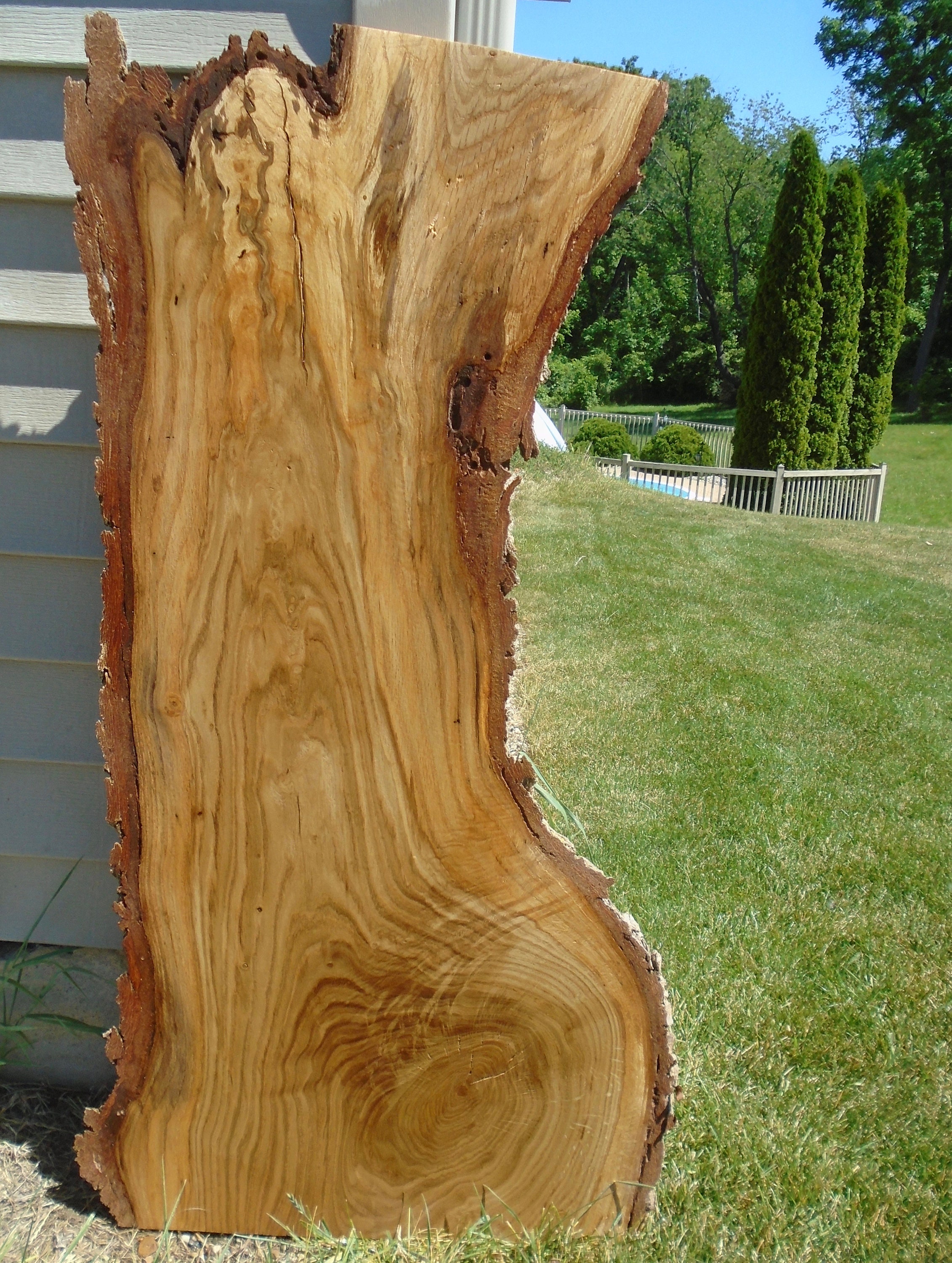White Oak Live Edge Slab Spalted Fancy Grain Rustic Table Art Decor 41 ...