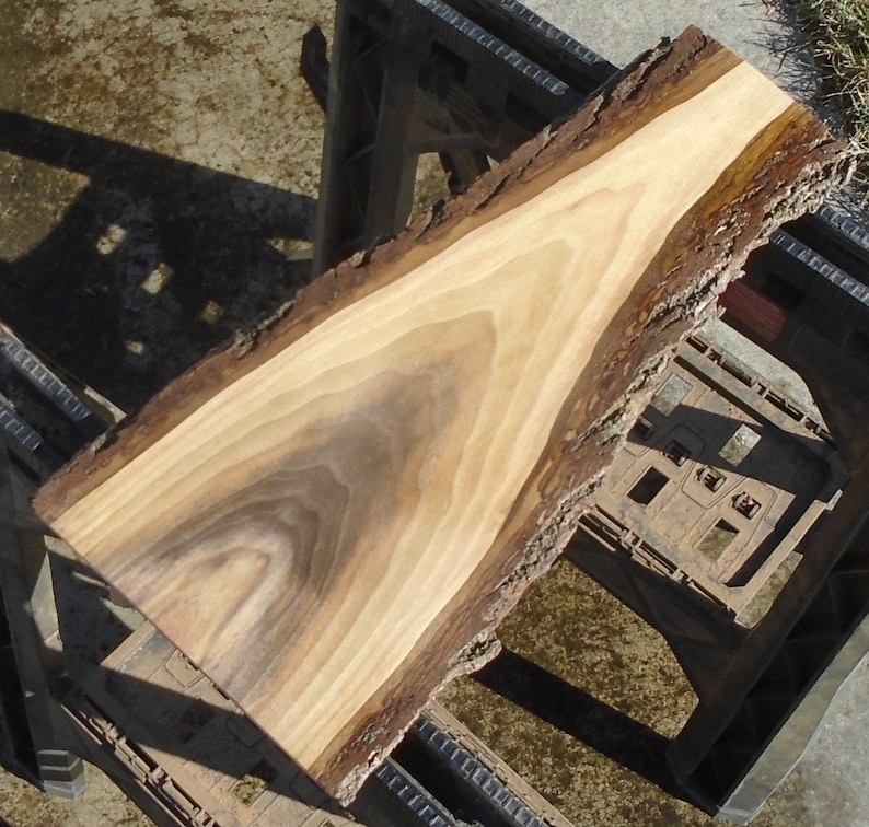 Black Walnut Live Edge Lumber Slab Flame Grain Plaque Decor - Etsy